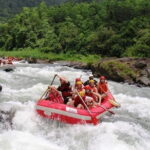 3 Days Adventure and Wildlife Tour - Exploring Sri Lanka: What the Tour Offers