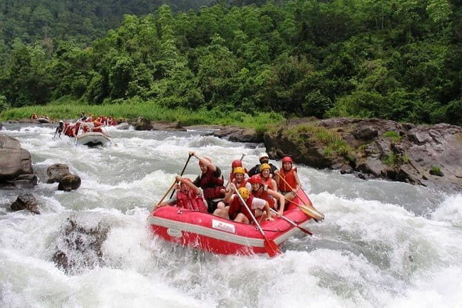 3 Days Adventure and Wildlife Tour - Exploring Sri Lanka: What the Tour Offers