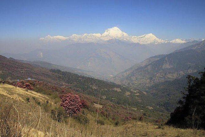 3 Days Amazing Ghandruk Trek From Pokhara Nepal - Authentic Culture and Stunning Views