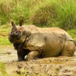 3 Days Chitwan Jungle Tour with Meals - Kathmandu & Pokhara - The Itinerary Breakdown