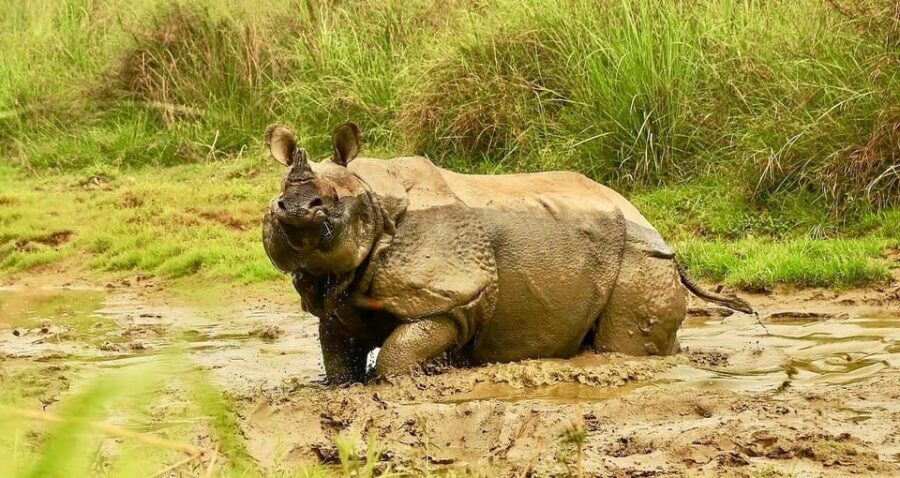 3 Days Chitwan Jungle Tour with Meals - Kathmandu & Pokhara - The Itinerary Breakdown