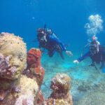 3 Days Class: SDI Open Water Diver Certification in Cancun - What Makes This Course Valuable?