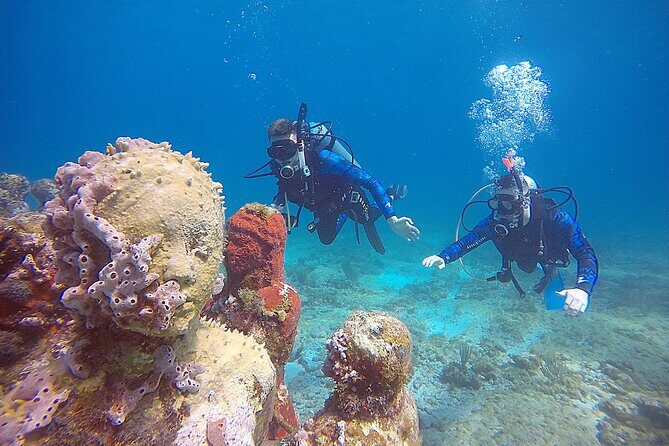 3 Days Class: SDI Open Water Diver Certification in Cancun - What Makes This Course Valuable?