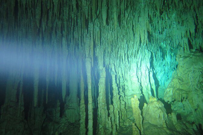 3 days diving in cenotes for certified divers - What Past Travelers Say