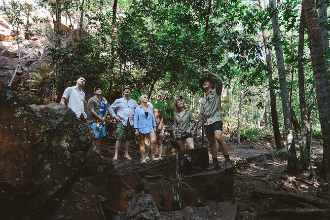 3 Days Kakadu Cultural Rock Art Experience - Is the Price Worth It?