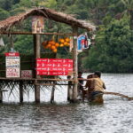 3 Days Tour to Bentota Galle & Udawalawe from Negombo - Transportation & Overall Experience