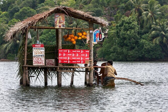 3 Days Tour to Bentota Galle & Udawalawe from Negombo - Transportation & Overall Experience