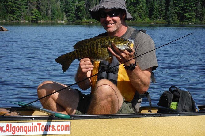 3 Hour Algonquin Park Bass & Trout Fishing (private- price is for 1 or 2 people) - Who Would Love This Tour?