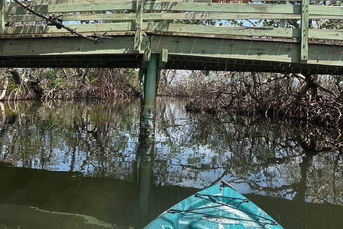 3 hour E.G. Simmons Park Mangrove Tunnel Tour - Who Should Sign Up?