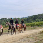 3 Hour Horse Ride to a Castle for Wine Tasting and snack Lunch - Practical Details of the Tour
