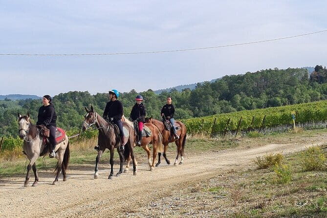 3 Hour Horse Ride to a Castle for Wine Tasting and snack Lunch - Practical Details of the Tour
