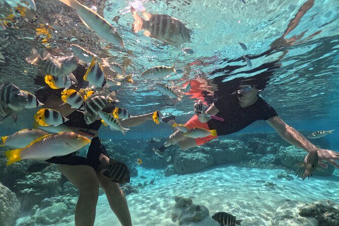 3 Hour JetSki Excursion around Taha'a - Who Will Love This Tour?