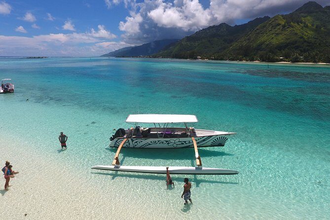 3-hour Lagoon Snorkeling Tour - Private Tour - What Makes This Tour Special?
