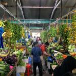3 Hour Male' City Tour with Local Guide - Transportation & Timing