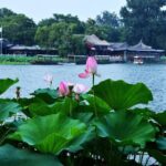 3-Hour Private Hutong Walking Tour with Drum Show at Drum Tower and Tea Tasting - Yinding Bridge: A Snapshot of Imperial Beijing