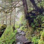 3-Hour Rainforest, Beach & Wildlife Walk - Why This Tour Offers Great Value