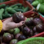 3-hour Traditional Vietnamese Home-Cooking Class in Da Nang - Exploring the Details of the 3-Hour Vietnamese Home-Cooking Class