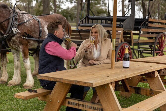 3- Hour Wine and Harvest the Hunter Horse Tour in Pokolbin - Frequently Asked Questions