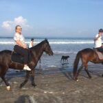 3 Hours Private Surf Lesson and Horse Riding in Seminyak Bali - What to Expect from the Itinerary