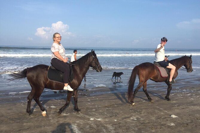 3 Hours Private Surf Lesson and Horse Riding in Seminyak Bali - What to Expect from the Itinerary