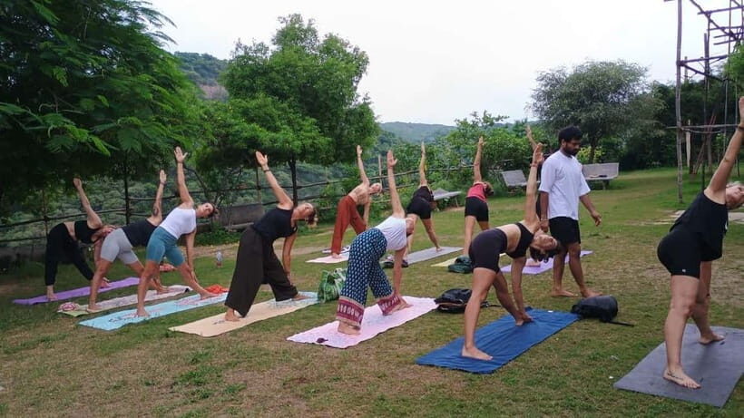 3 Hours Private Yoga and Meditation Tour in Jaipur - The Core Yoga & Meditation Session