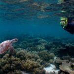 3 Night Ningaloo Reef Snorkel and Dive Getaway from Coral Bay - Key Points