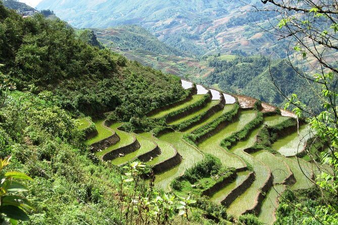 3-Night Sapa Trekking Tour from Hanoi - Who Will Love This Tour?