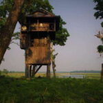 3 Nights 4 Days: Chitwan National Park with Tower Night Stay - Transport and Logistics: A Closer Look