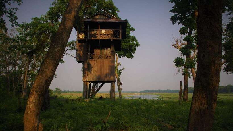 3 Nights 4 Days: Chitwan National Park with Tower Night Stay - Transport and Logistics: A Closer Look