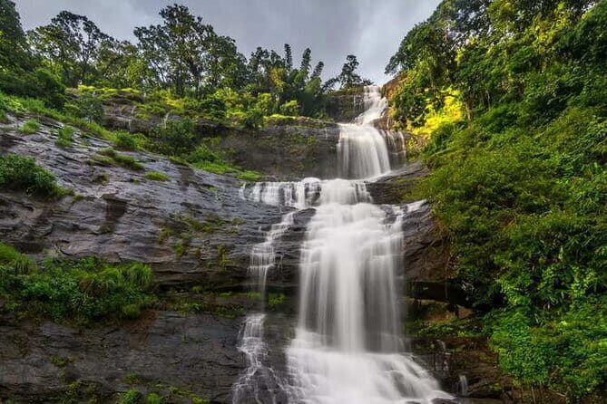 3 Nights Private Kerala Premium Package by Sanguine Holidays - Day 2: Hill Towns and Tea Estates