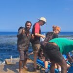 3 Nights Stay in Tanna including Accommodation, meals & transfers - Exploring the Itinerary: What You Can Expect