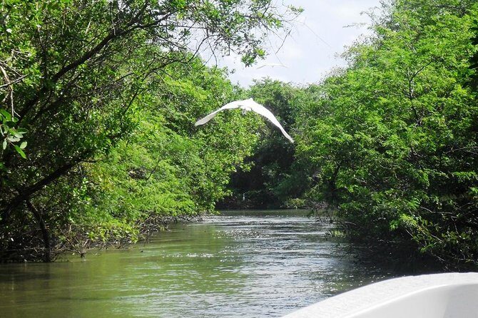 3 Palos Lagoon AfroMex Village Turtle Release & Croc Farm Visit - Breaking Down the Itinerary