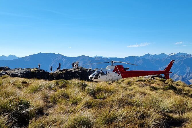 35-Minute Alpine Scenic Flight from Queenstown - Why Travelers Rave About It
