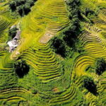 3D2N Sapa Private Tour Fansipan Mountain Exploration - Who This Tour Is Perfect For