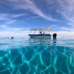 3h dolphin and snorkeling tour in a wild lagoon with Mobydick - The Experience: What to Expect and Why It Matters