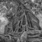 4-Day Angkor Wat, Kulen Mount, Koh Ker Group & Beng Mealea - An In-Depth Look at the 4-Day Adventure