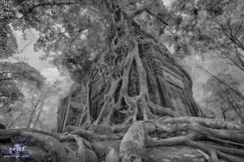 4-Day Angkor Wat, Kulen Mount, Koh Ker Group & Beng Mealea - An In-Depth Look at the 4-Day Adventure