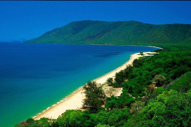 4 Day Cairns: Daintree Rainforest, Reef, Kuranda & Paronella Park - Authenticity and Value