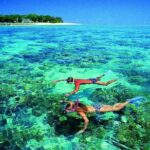 4-Day Cairns with Great Barrier Reef and Daintree Rainforest - What Does This Tour Offer in Terms of Value?