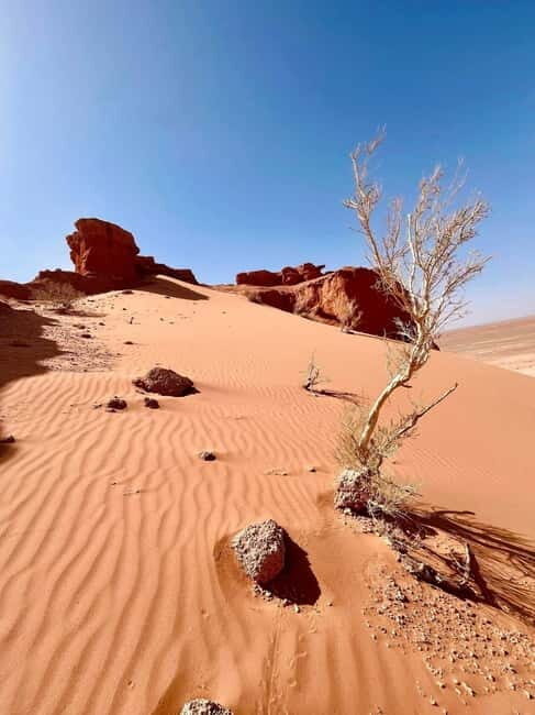 4 day Gobi in express short time - FAQ
