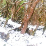 4 Day Mardi Himal Base Camp Trek from Pokhara - Exploring the Itinerary in Detail