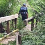 4 Day Mornington Peninsula Treks - Top Highlights in Detail