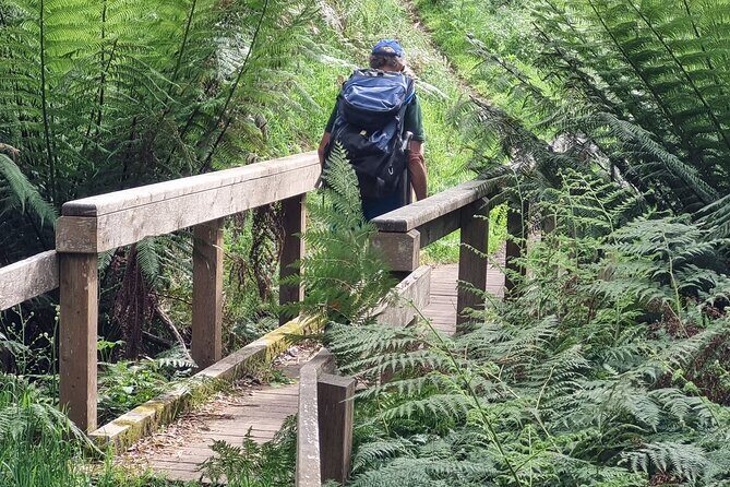 4 Day Mornington Peninsula Treks - Top Highlights in Detail