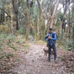 4-Day Mulde ,Poon Hill Trek Itinerary (Children-Friendly) - The Itinerary in Detail