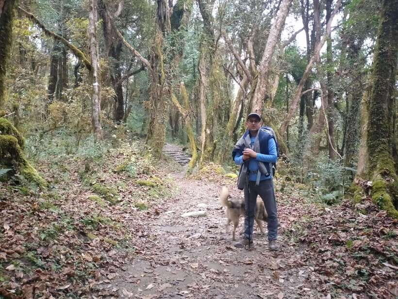 4-Day Mulde ,Poon Hill Trek Itinerary (Children-Friendly) - The Itinerary in Detail