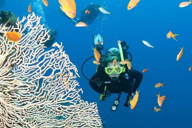 4-Day Nha Trang Scuba Diving - Day 1: Arrival & Free Time