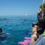 4-Day PADI Open Water Dive Course - Learn to Dive on the Great Barrier Reef - Practicalities and Tips for Travelers
