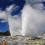 4-Day Wellington to Auckland via Rotorua Tour - Transportation, Accommodation, and Overall Value