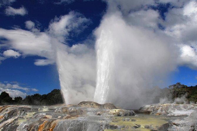 4-Day Wellington to Auckland via Rotorua Tour - Transportation, Accommodation, and Overall Value