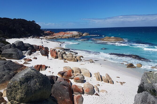 4 Day Wild Tasmania Tour / Wildlife, Nature, Hiking / Inc. Accom - Authentic Experiences and Highlights